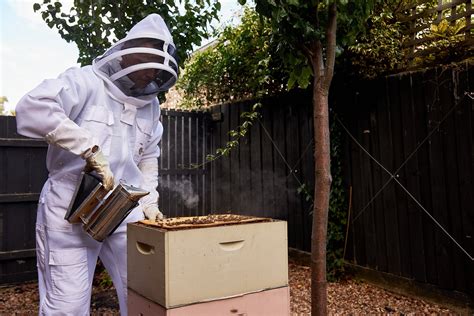 The Role Of Bees In Ecosystems Why Pollinators Matter Hivekeepers