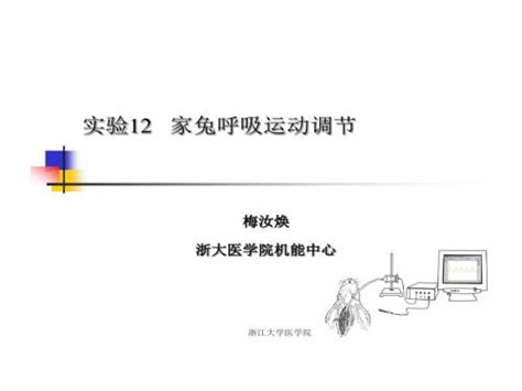 家兔呼吸运动调节ppt课件