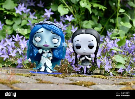 Funko Pop Action Figures Of Emily From Dark Fantasy Gothic Animated