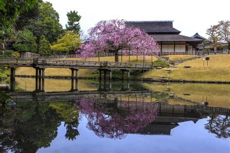 Okayama Health Tourism Destinasi Sakura Jangan Lewatkan Musim Semi
