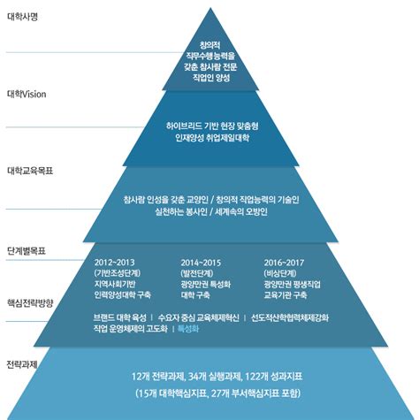 비전체계