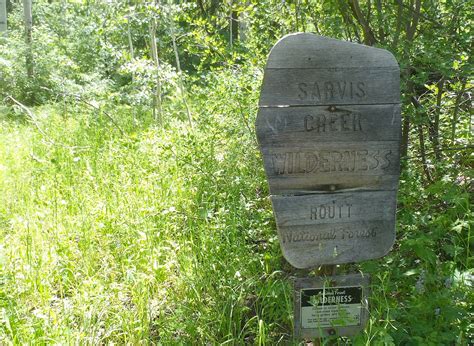 Senate Hearing Conducted For Sarvis Creek Wilderness Completion Act