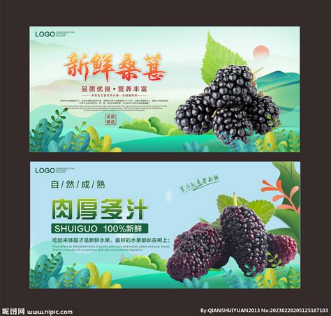 桑葚设计图 海报设计 广告设计 设计图库 昵图网