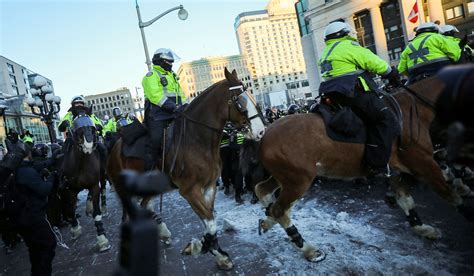 Canadian Trucker Protests Ottowa Police Horses Trample Demonstrators