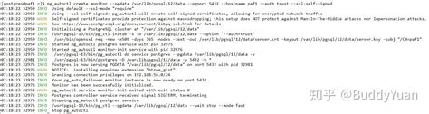 倾情打造postgresql高可用系列（一）：pgautofailover搭建 知乎