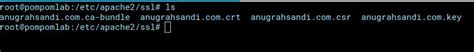 Cara Mudah Deploy Laravel Ke Vps Daeng Web
