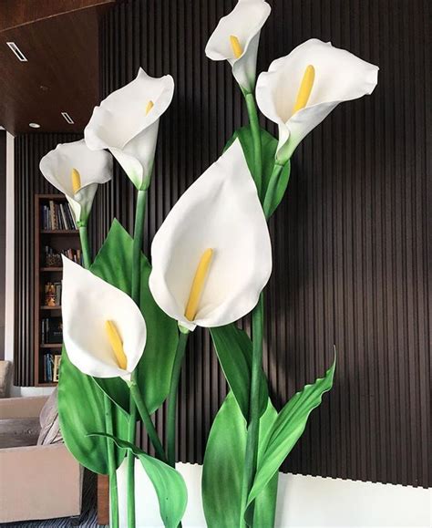 Встречаем весну новыми цветами Каллы🌱такие благородные и элегантные Цветок для утонченных