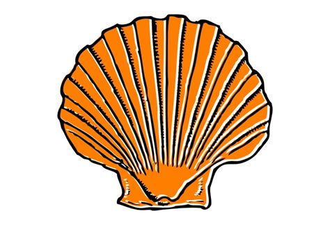 Clipart Shell