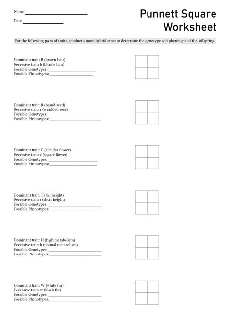 Punnett Square Practice Problems Worksheet Amemyid