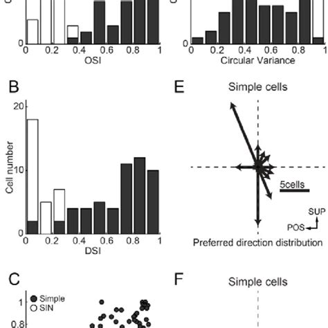 5 The State Effects On Orientation Tuning Of Layer 4 Simple Cells A Download Scientific