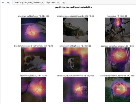 lesson 1 code questions part 1 2019 fast ai course forums