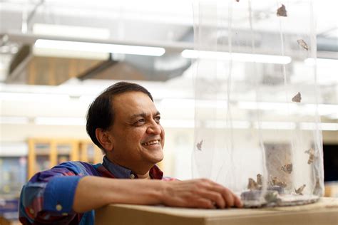 Catching Up With Mbl Director Nipam Patel Marine Biological Laboratory