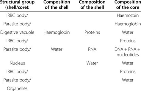 The Composition Of The Structural Groups Of The Irbc Interpretation Model Download Table