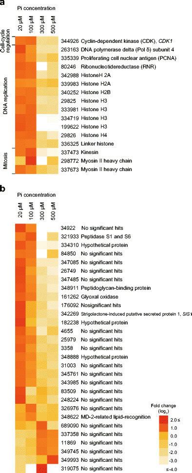 Gene Expression Profiles Of Differentially Expressed Genes False Download Scientific Diagram