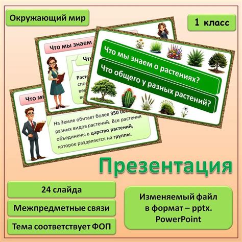 Презентация к уроку по Окружающему миру 1 класс «Что мы знаем о растениях Что общего у разных