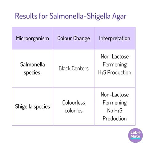 Salmonella Shigella Agar Uses Results And Applications Explained