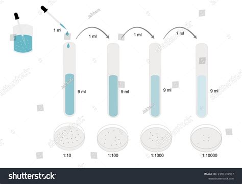 The Ten Fold Serial Dilution Of Pathogen Royalty Free Stock Vector