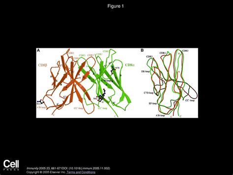 Volume 23 Issue 6 Pages December 2005 Ppt Download