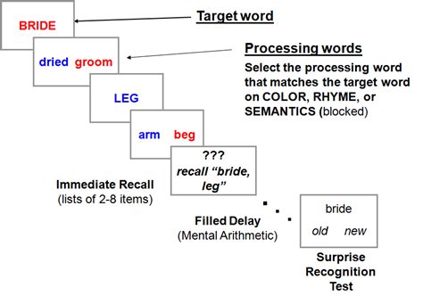 Procedure Of The Levels Of Processing Span Task Rose Et Al 2010