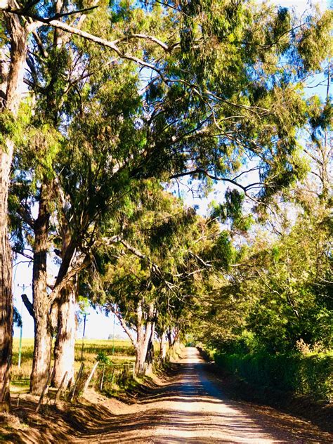 Samuel Kigotho Posted On Linkedin