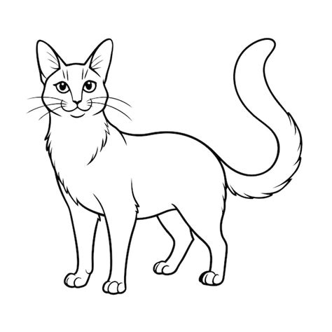 Dwelf Cat Outline Images Free Download On Freepik
