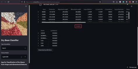 Do Any Machine Learning Or Deep Learning Projects For You By