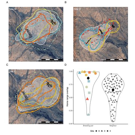 Panels A C Home Range Areas 95 Utilization Distribution Contour For Download Scientific