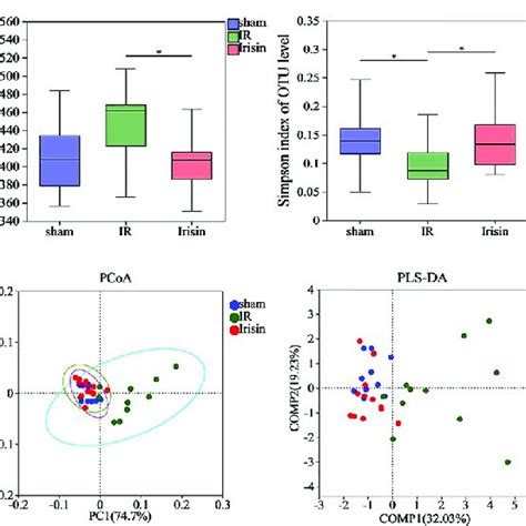Effects Of Irisin Treatment On The Gut Microbiota Composition A