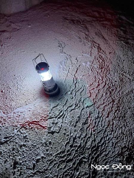 NgỌc ĐỘng 22 Collection NgỌc ĐỘng LÀ GÌ White Ant