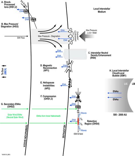 Schematic Illustrating The Different Hypotheses That Have Been Put Download Scientific Diagram