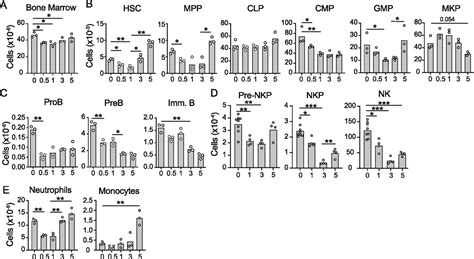Mature B Cells And Mesenchymal Stem Cells Control Emergency