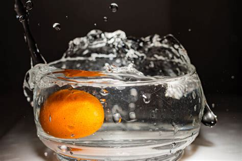 Quinoto 이미지 찾아보기 123 스톡 사진 벡터 및 비디오 Adobe Stock