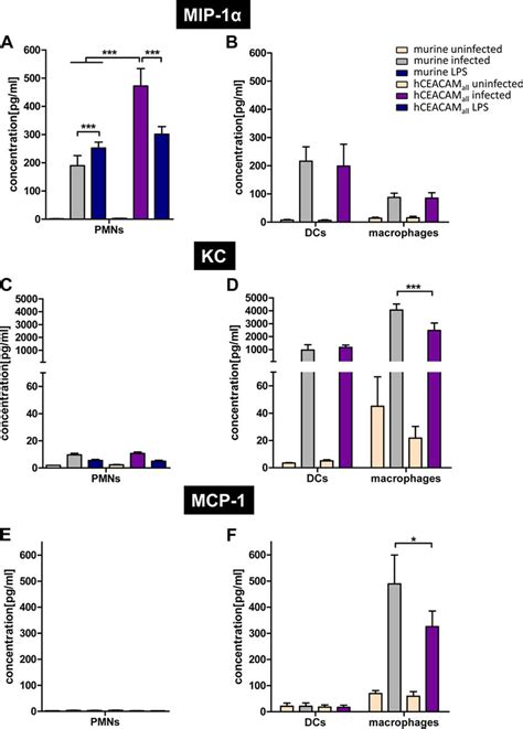 Effect Of H Pylori Mediated Binding To Ceacam Humanized Pmns Dcs Or