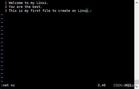 Linux中的文件与目录操作linux在文件夹test1中创建文本内容为把当前运行的除内核进程以外的信息写到当前用 Csdn博客