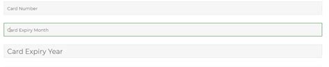 Wordpress Css Issue With Focus Input Stack Overflow