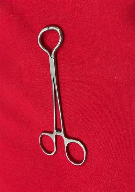 Vasectomy Ring Forceps At ₹ 850piece Satnam Nagar Jalandhar Id