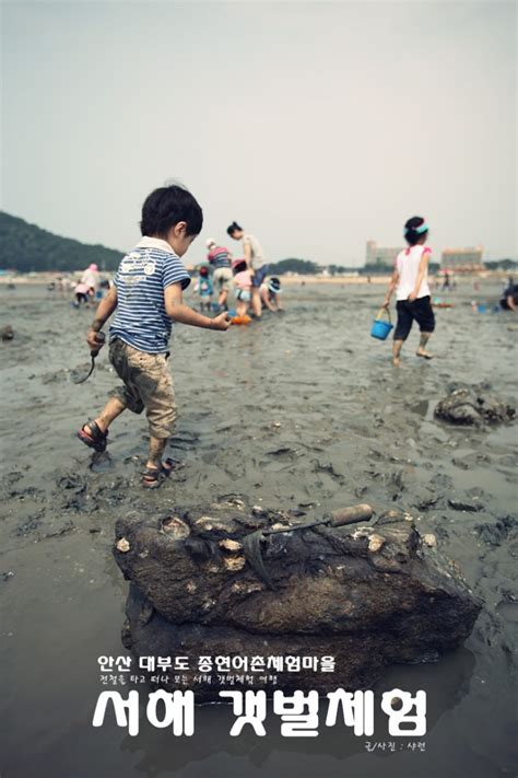 안산여행 대부도 전철을 타고 떠나 보는 서해 대부도 갯벌체험여행 네이버 블로그
