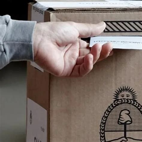 Elecciones 2023 ¿quiénes Están Exceptuados De Votar Pero Deberán