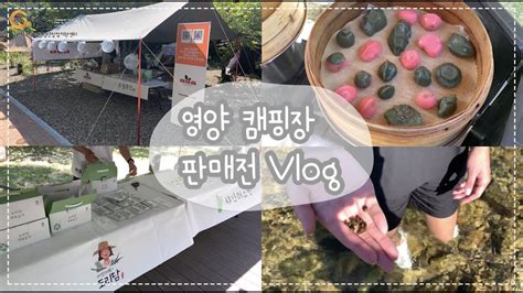 Vlog Youtube