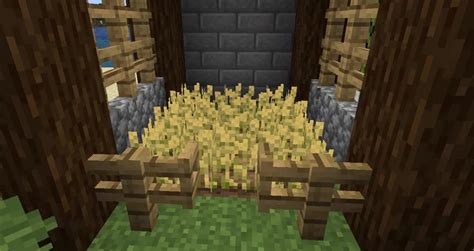 Nitrado Tutorials Minecraft Server