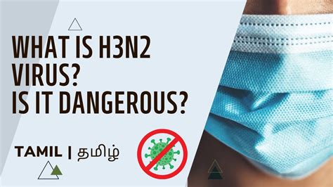 What Is H3n2 Virus H3n2 இன்ப்ளூயன்ஸா வைரஸ் New Virus