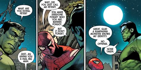 Avengers Endgames Hulk Twist Has Likely Robbed Us Of A Perfect Spider