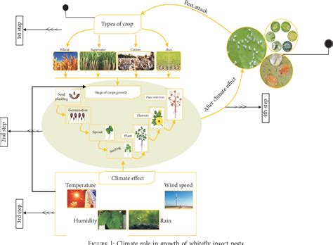 Figure 1 From Iot Based Cotton Whitefly Prediction Using Deep Learning Semantic Scholar