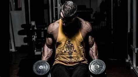 سیستم تمرینی هرمی در بدنسازی مزایا، معایب، برنامه موج کوه