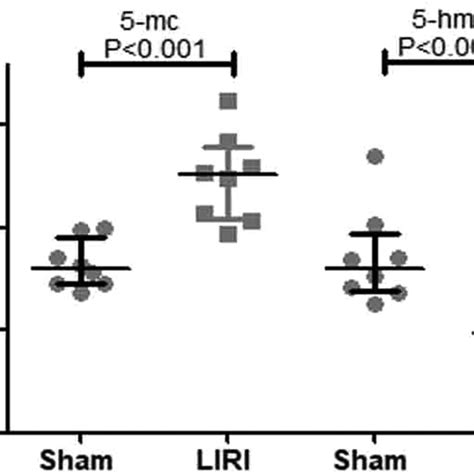Inhibition Of Dna Methylation Reduces The Oxidative Stress Response
