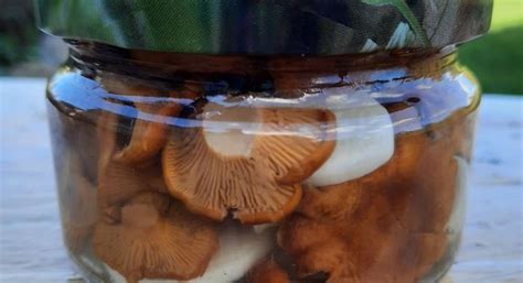 Marinētas Gailenes Ziemai