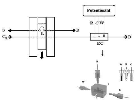 Scheme Of The Flow Injection System With Electrochemical Detection Used Download Scientific