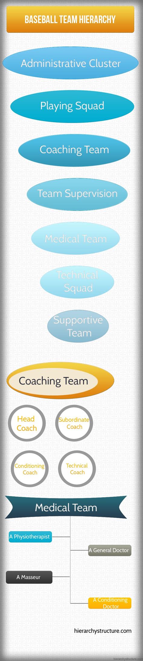 Baseball Team Hierarchy