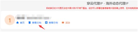 IP提取 API文档 穿云IP代理 代码示例 穿云使用教程