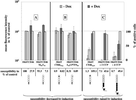 Quantification Of Cd46 Surface Exposition On Selected Sk6t Cell Lines